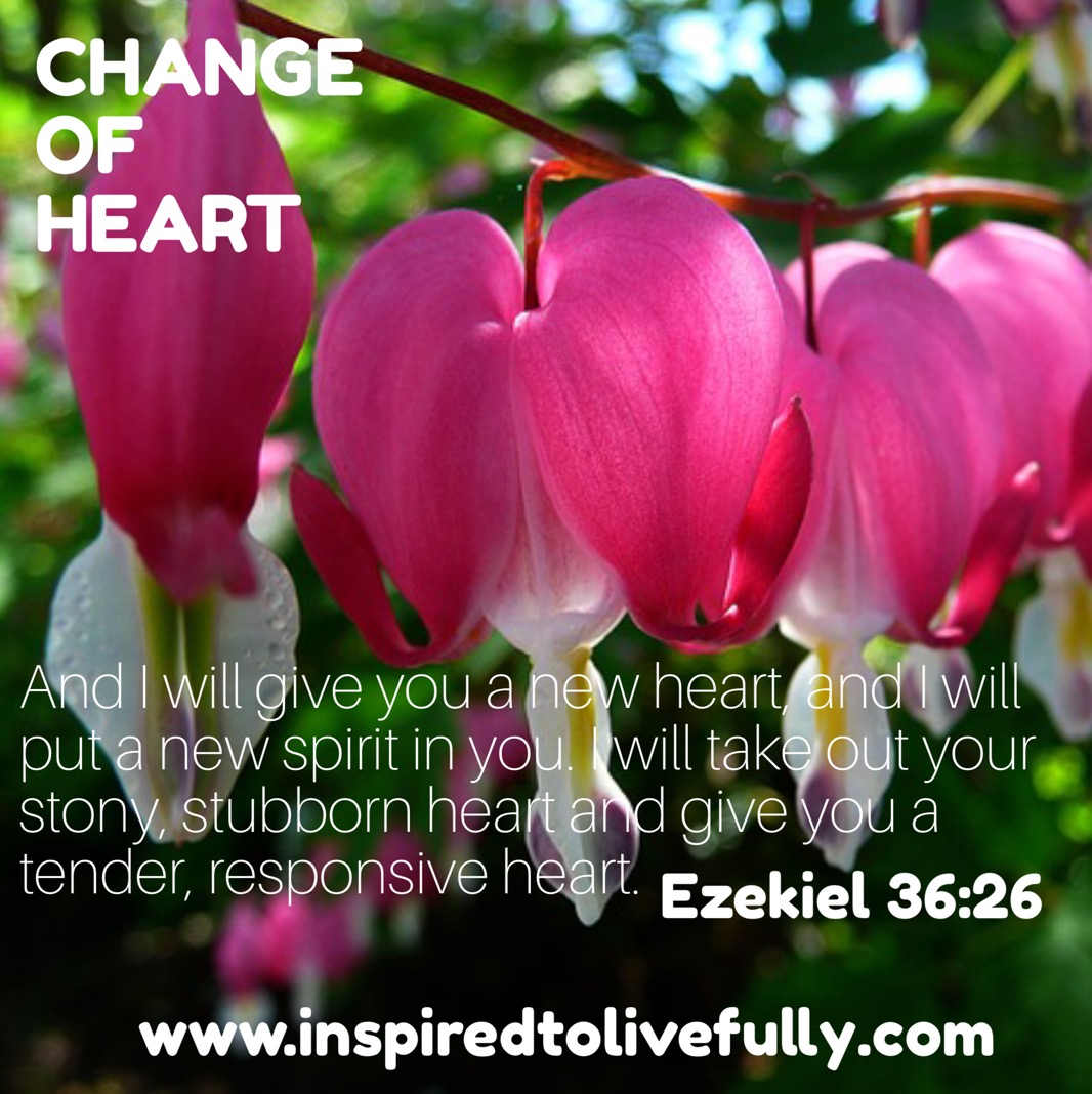 Into The Thick Of It – Inspired Life